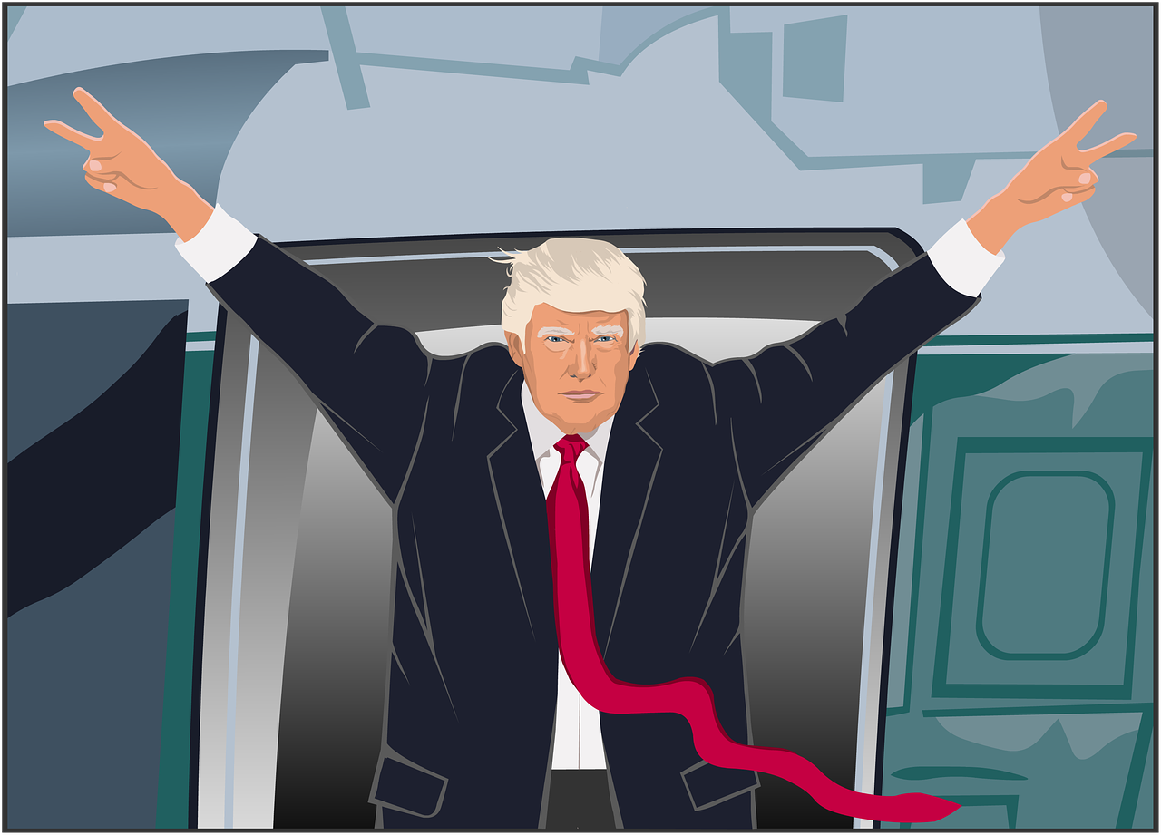 ¿Por qué se ponen marrones las hojas del potus? | scatec ¿Por qué se ponen marrones las hojas del potus? | scatec