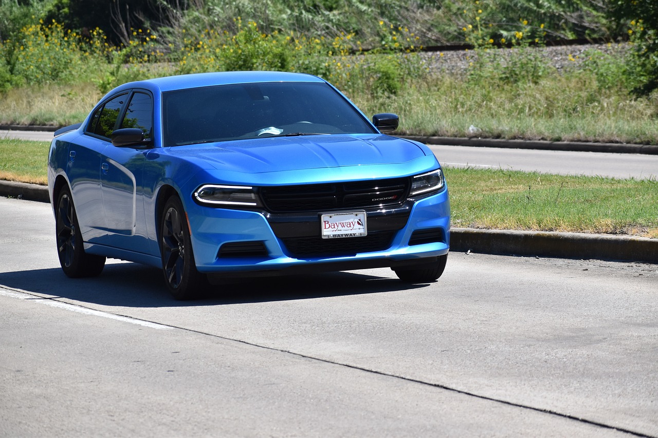 What does laugh now but one day we'll be in charge mean? | scatec